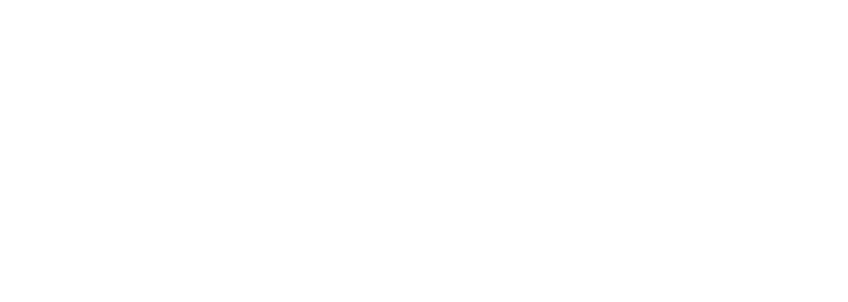 Youth Organization SPARK - Empowering Ukrainian youth